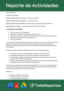 Reporte De Actividades Formato Cómo Hacerlo Y Ejemplos Todoreportes