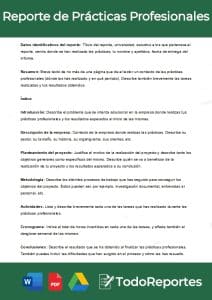 Reporte de prácticas profesionales: formato, cómo hacerlo y ejemplos ...